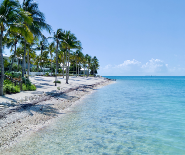 Smathers Beach - Cayo Hueso Carts